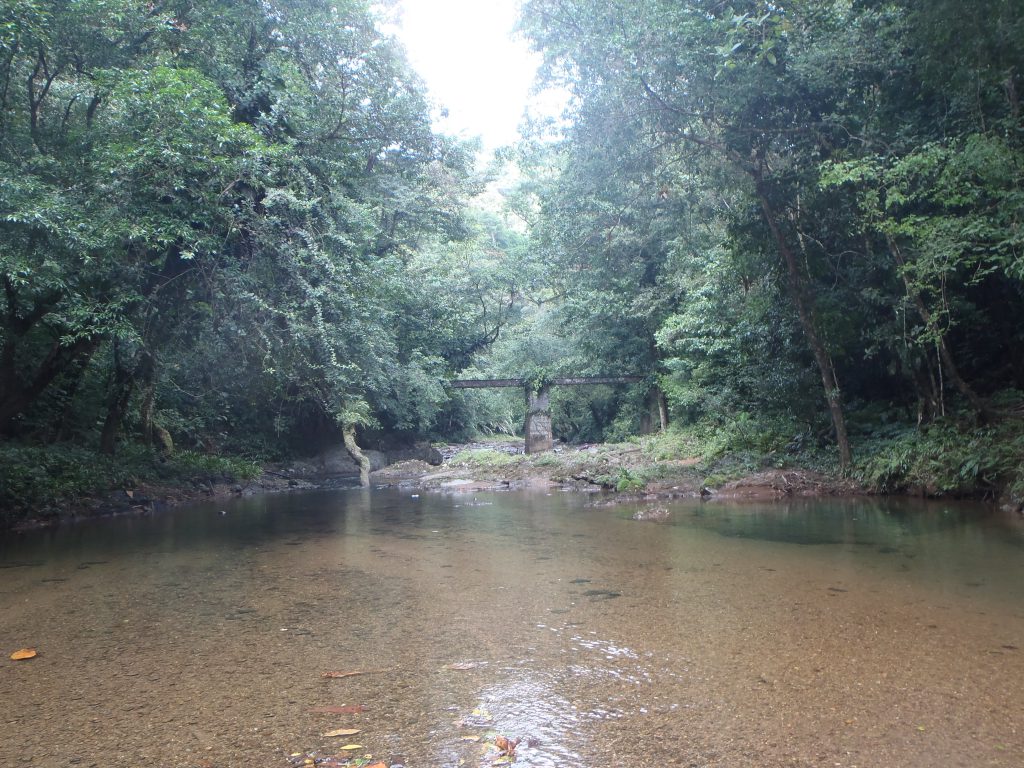 Río Boquerón – Al Aire Libre
